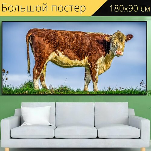 Большой постер "Бык, крупный рогатый скот, домашний скот" 180 x 90 см. для интерьера