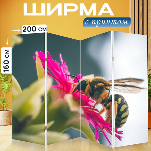 Ширма перегородка с принтом "Макрос, пчела, цветок" на холсте - 200x160 см. для зонирования, раскладная