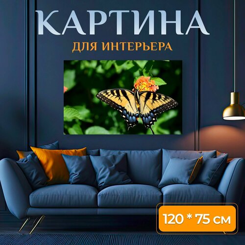 Картина на холсте "Бабочка, природа, насекомое" на подрамнике 120х75 см. для интерьера