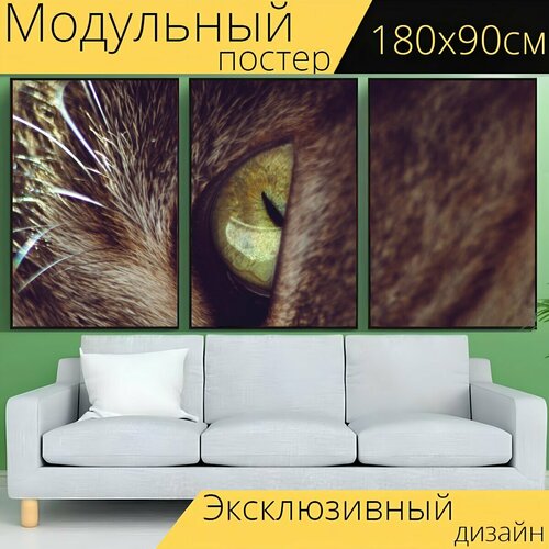 Модульный постер "Кошачий глаз, макрос, животное" 180 x 90 см. для интерьера