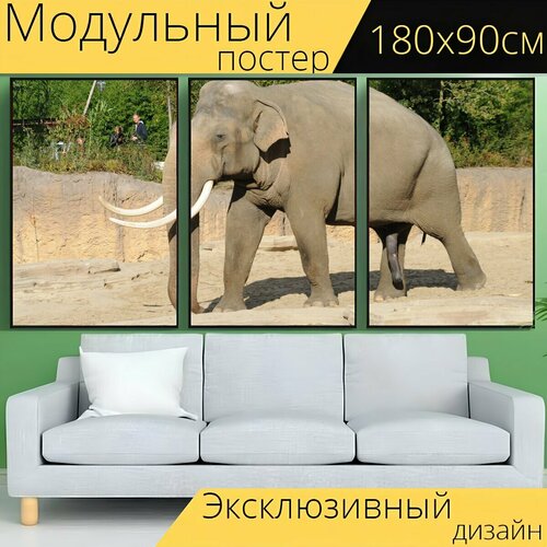 Модульный постер "Природа, животное, млекопитающее" 180 x 90 см. для интерьера
