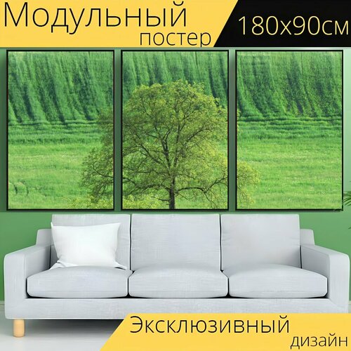 Модульный постер "Дерево, поля, природа" 180 x 90 см. для интерьера