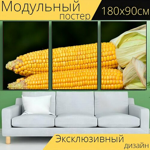 Модульный постер "Кукуруза, кукуруза в початках, еда" 180 x 90 см. для интерьера