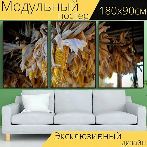 Модульный постер "Кукуруза, ферма, овощ" 180 x 90 см. для интерьера