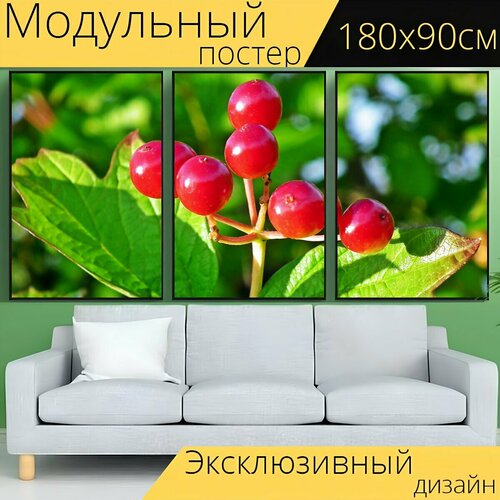 Модульный постер "Калина, фрукты, красный" 180 x 90 см. для интерьера