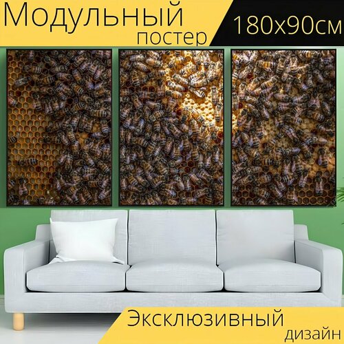 Модульный постер "Улей, пчела, соты" 180 x 90 см. для интерьера