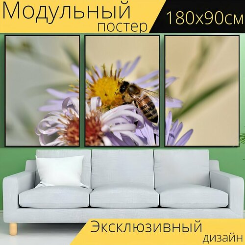 Модульный постер "Пчела, насекомое, астра" 180 x 90 см. для интерьера