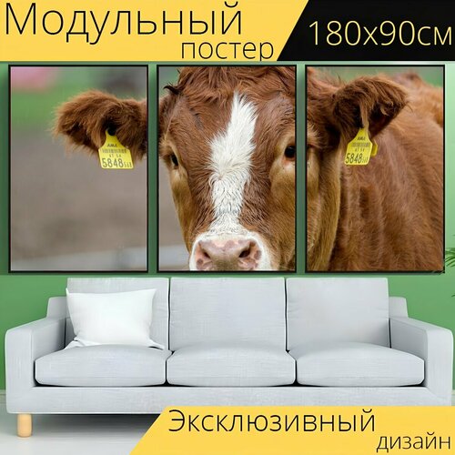Модульный постер "Корова, телец, крупный рогатый скот" 180 x 90 см. для интерьера