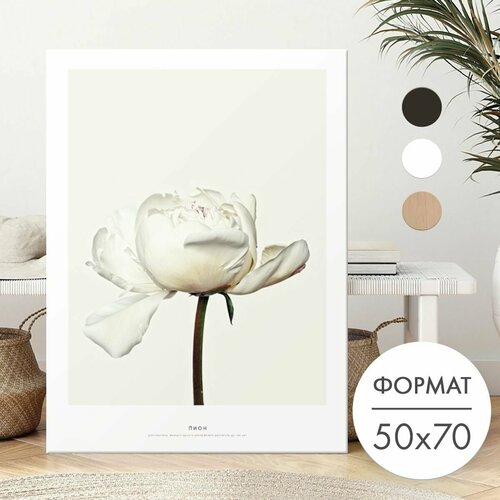 Плакат Постер 50х70 без рамки "Белый цветок бутон" для интерьера