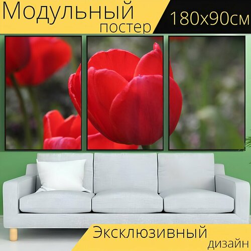 Модульный постер "Тюльпан, красный, весна" 180 x 90 см. для интерьера