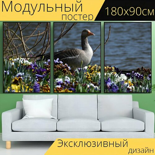 Модульный постер "Серый гусь, птица, озеро" 180 x 90 см. для интерьера