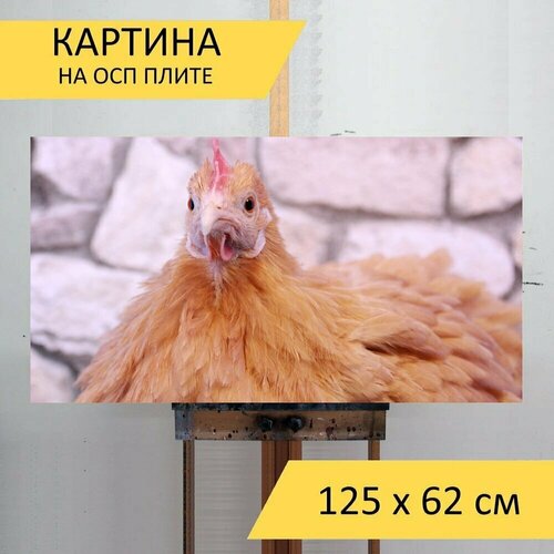 Картина на ОСП 125х62 см. "Курица, домашняя птица, животное" горизонтальная, для интерьера, с креплениями