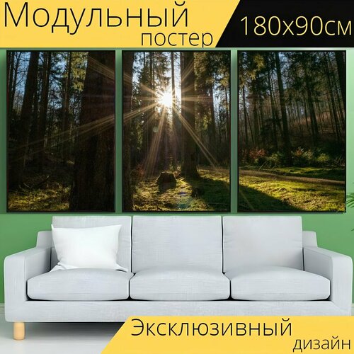 Модульный постер "Лес, деревья, солнечные лучи" 180 x 90 см. для интерьера