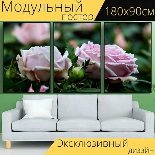 Модульный постер "Розы, розовый, цветок" 180 x 90 см. для интерьера