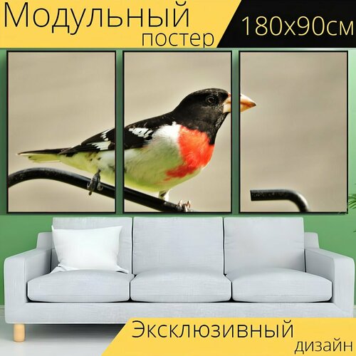 Модульный постер "Красногрудый дубоносовый кардинал, птицы, природа красочные" 180 x 90 см. для интерьера