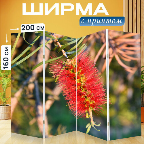 Ширма перегородка с принтом "Португалия, цветок, завод" на холсте - 200x160 см. для зонирования, раскладная
