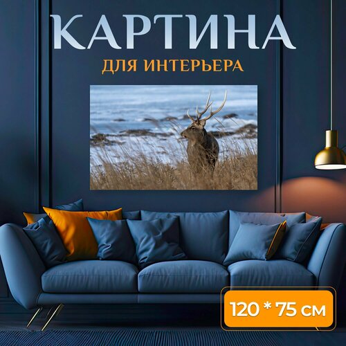Картина на холсте "Олень, животное, море" на подрамнике 120х75 см. для интерьера