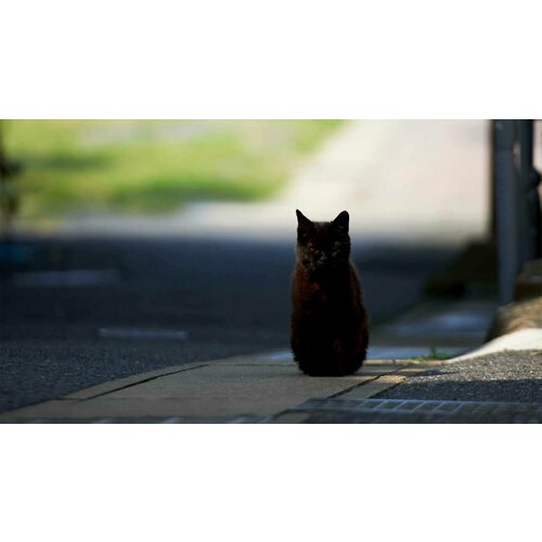 Картина на холсте 60x110 LinxOne "Дорога кот черный солнечно" интерьерная для дома / на стену / на кухню / с подрамником