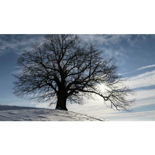 Картина на холсте 60x110 LinxOne "Дерево, силуэт, снег, зима, пейзаж" интерьерная для дома / на стену / на кухню / с подрамником