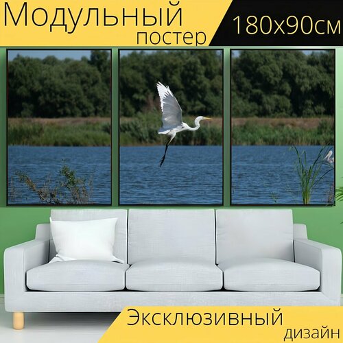 Модульный постер "Большая белая цапля, птица, полет" 180 x 90 см. для интерьера