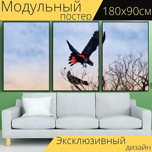 Модульный постер "Природа, какаду, летающий" 180 x 90 см. для интерьера