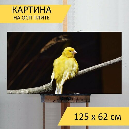 Картина на ОСП 125х62 см. "Канарские, певчая птица, птица" горизонтальная, для интерьера, с креплениями