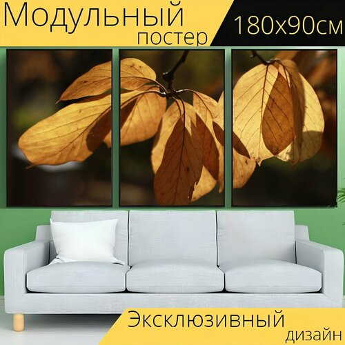 Модульный постер "Осенние листья, кленовый лист, лист" 180 x 90 см. для интерьера