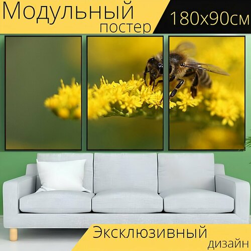 Модульный постер "Пчела, желтый, завод" 180 x 90 см. для интерьера