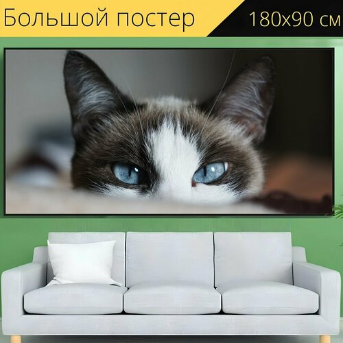 Большой постер "Кошка, глаза, уши" 180 x 90 см. для интерьера