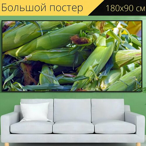 Большой постер "Колхозный рынок кукурузы, початок, кукуруза" 180 x 90 см. для интерьера