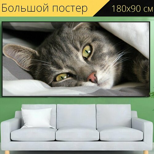 Большой постер "Остальные, кошка, милый кот" 180 x 90 см. для интерьера