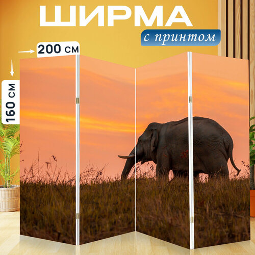 Ширма перегородка с принтом "Слон, таиланд, природа" на холсте - 200x160 см. для зонирования, раскладная