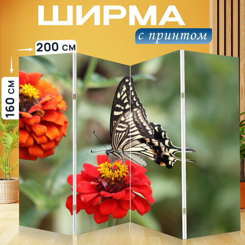 Ширма перегородка с принтом "Бабочка тигр, бабочка махаон, насекомые" на холсте - 200x160 см. для зонирования, раскладная