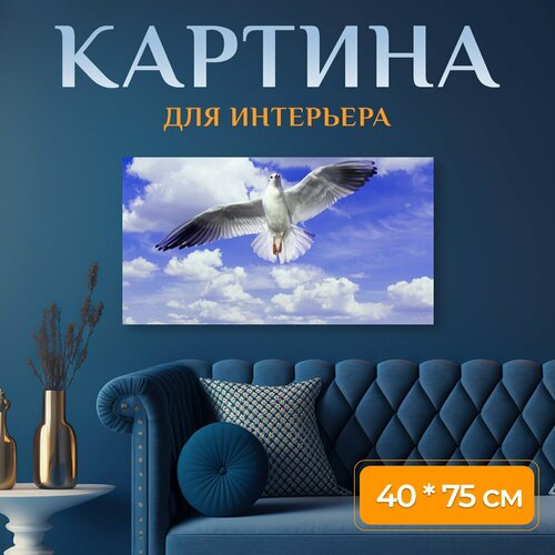 Картина на холсте "Птица, голубь, крылья" на подрамнике 75х40 см. для интерьера