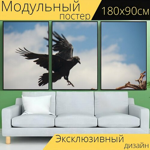 Модульный постер "Ворон, птица, летающий" 180 x 90 см. для интерьера