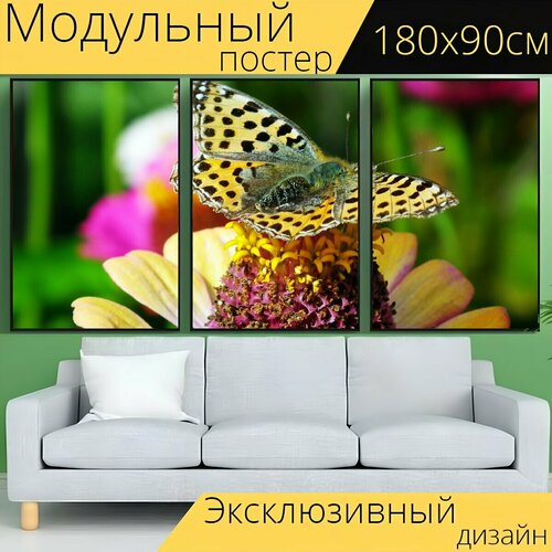 Модульный постер "Бабочка, эхина, цветочная пыльца" 180 x 90 см. для интерьера