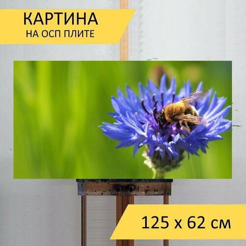 Картина на ОСП 125х62 см. "Васильковый, пчела, природа" горизонтальная, для интерьера, с креплениями
