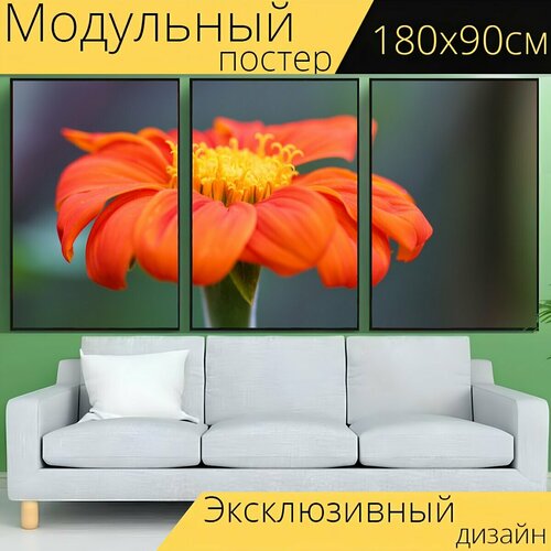 Модульный постер "Цветок, апельсин, красный" 180 x 90 см. для интерьера