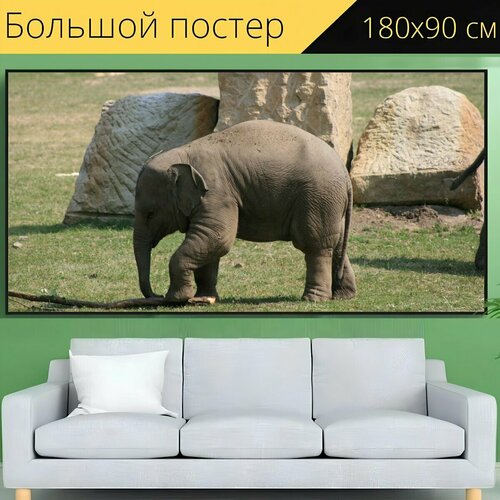 Большой постер "Слон, зоопарк, прага" 180 x 90 см. для интерьера