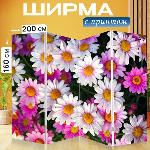 Ширма перегородка с принтом "Ромашки, цветок, расцветает" на холсте - 200x160 см. для зонирования, раскладная