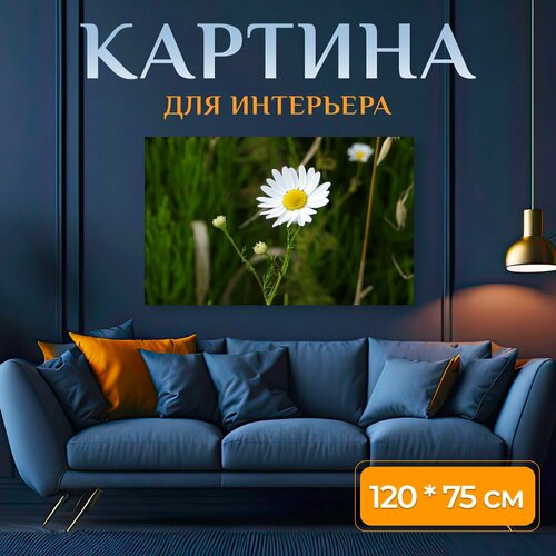 Картина на холсте "Ромашка, полевой цветок, летом" на подрамнике 120х75 см. для интерьера