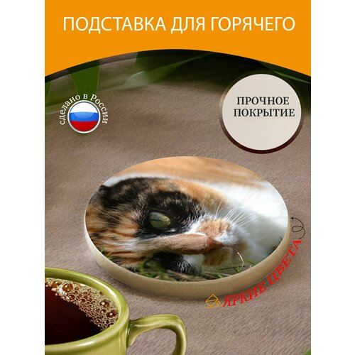Подставка под горячее "Кошка, глаза, взгляд кошки" 10 см. из блого мрамора