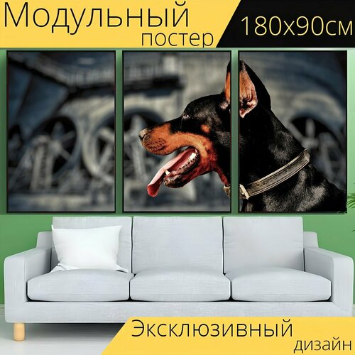 Модульный постер "Сторожевая собака, доберман, боковая сторона" 180 x 90 см. для интерьера