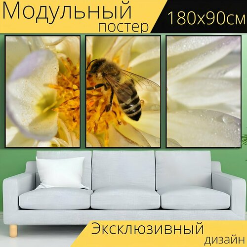 Модульный постер "Пчела, цветочная пыльца, насекомое" 180 x 90 см. для интерьера