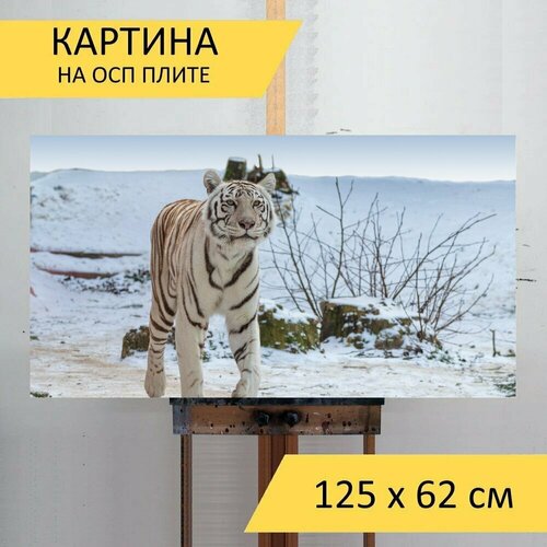 Картина на ОСП 125х62 см. "Тигр, белый тигр, хищник" горизонтальная, для интерьера, с креплениями