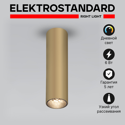 Спот / Накладной светодиодный светильник Elektrostandard Pika 25031/LED, 6 Вт, 4200 К, цвет золото