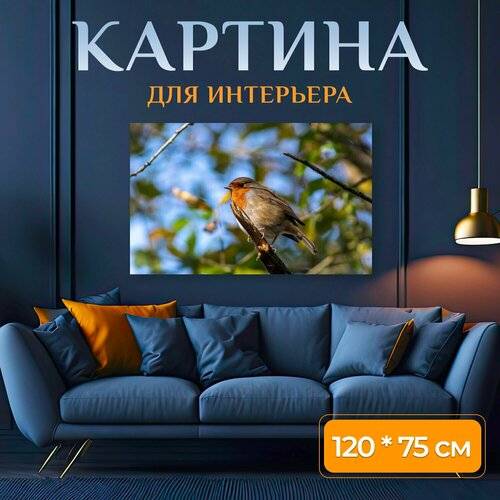 Картина на холсте "Птица, робин, осень" на подрамнике 120х75 см. для интерьера