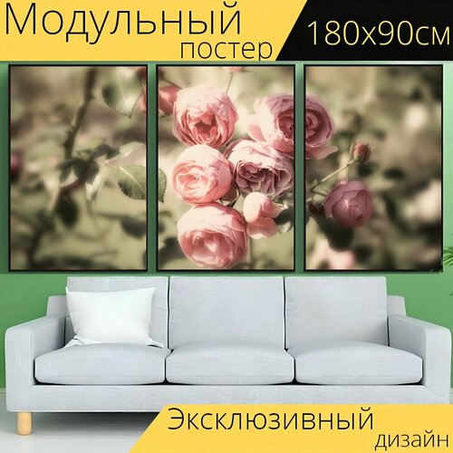 Модульный постер "Розовый, цветок, декоративное растение" 180 x 90 см. для интерьера