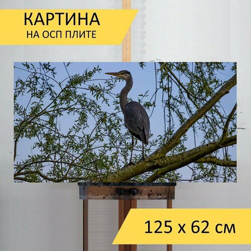 Картина на ОСП 125х62 см. "Серая цапля, цапля в дереве, отдыхающий" горизонтальная, для интерьера, с креплениями