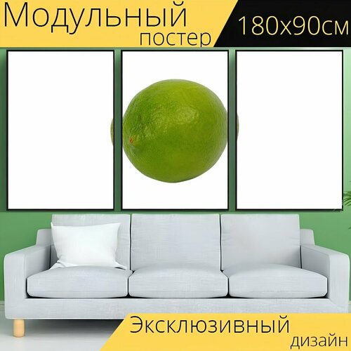 Модульный постер "Извести, лимон, фрукты" 180 x 90 см. для интерьера